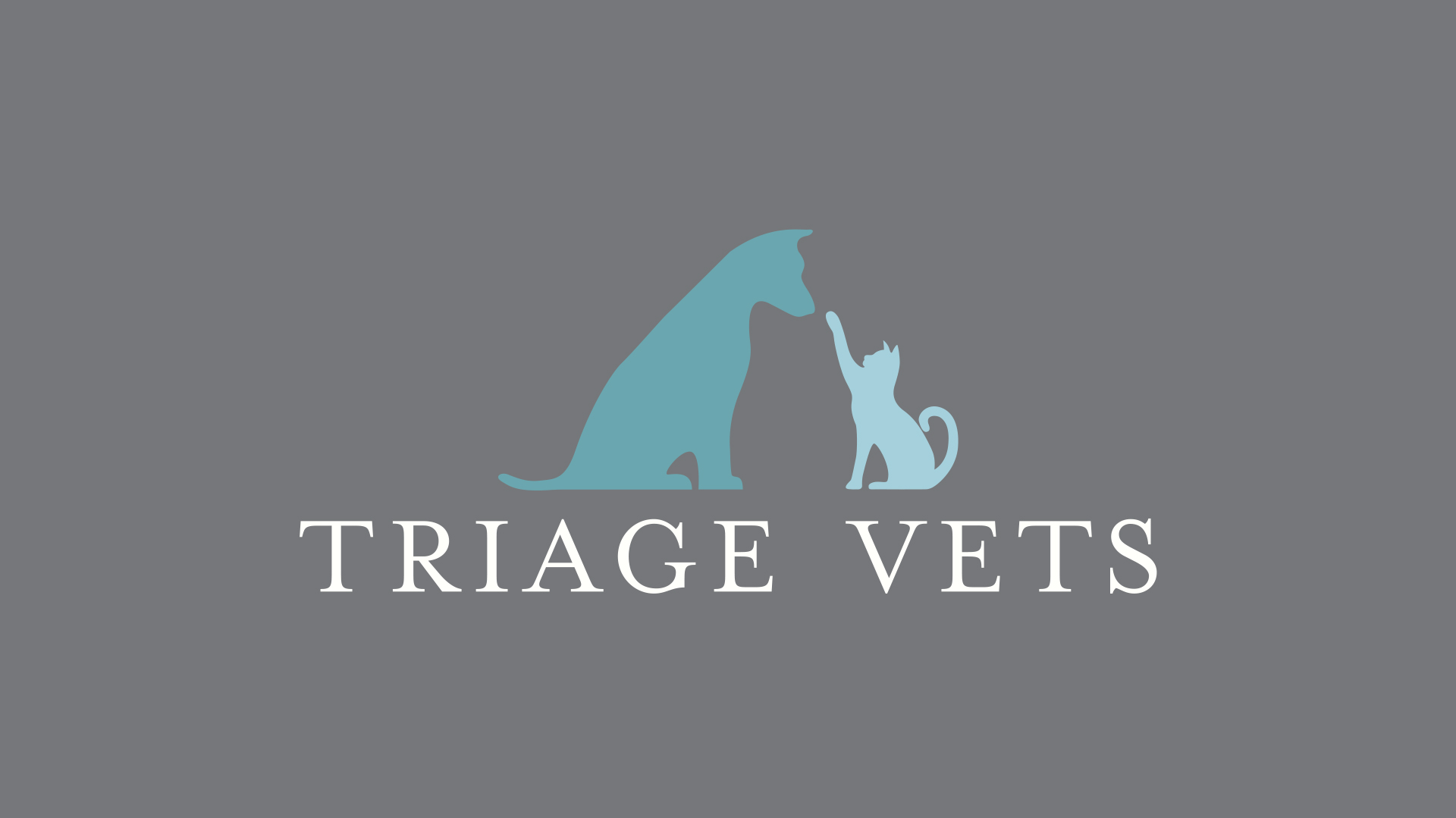 Veterinary Clinic Brand Identity | Triage Vets | BMDC